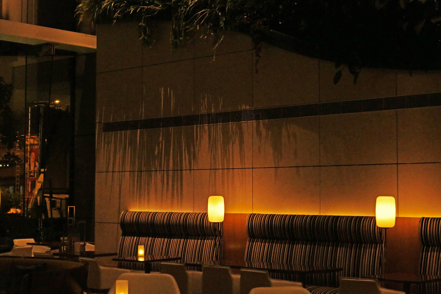 Icon Hotel, Hong Kong Polytechnic University | Mur Vegetal Patrick Blanc