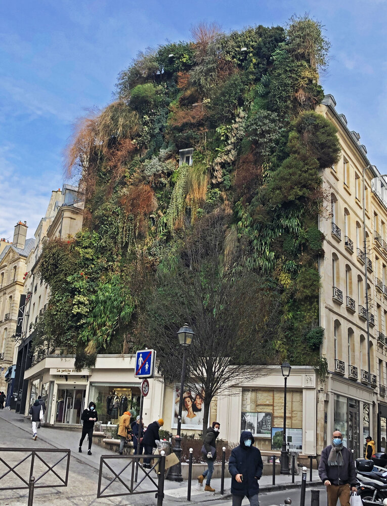 L'Oasis d'Aboukir, Paris | Page 2 | Mur Vegetal Patrick Blanc