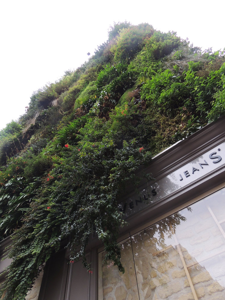 L'Oasis d'Aboukir, Paris | Page 2 | Mur Vegetal Patrick Blanc