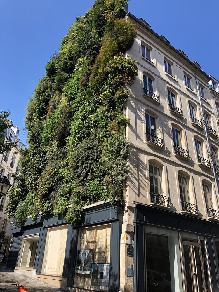 L'Oasis d'Aboukir, Paris | Page 2 | Mur Vegetal Patrick Blanc