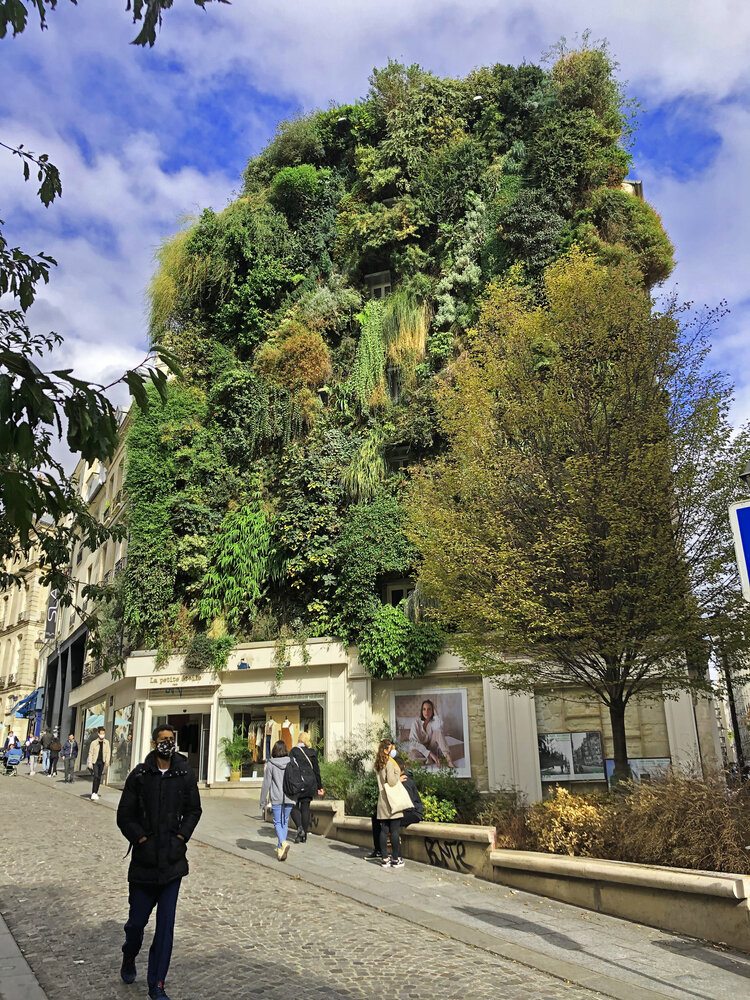 L'Oasis d'Aboukir, Paris | Page 2 | Mur Vegetal Patrick Blanc