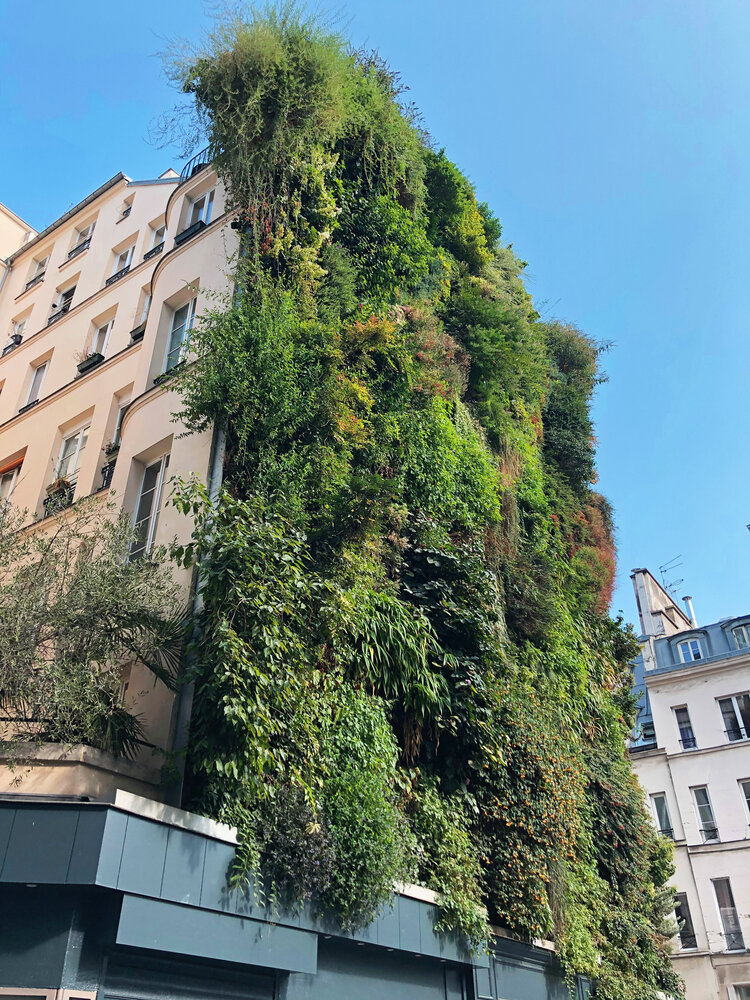 L'Oasis d'Aboukir, Paris | Page 2 | Mur Vegetal Patrick Blanc