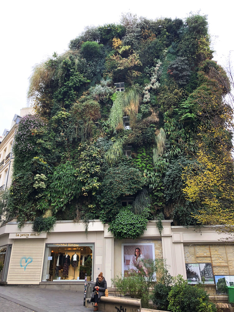 L'Oasis d'Aboukir, Paris | Page 2 | Mur Vegetal Patrick Blanc