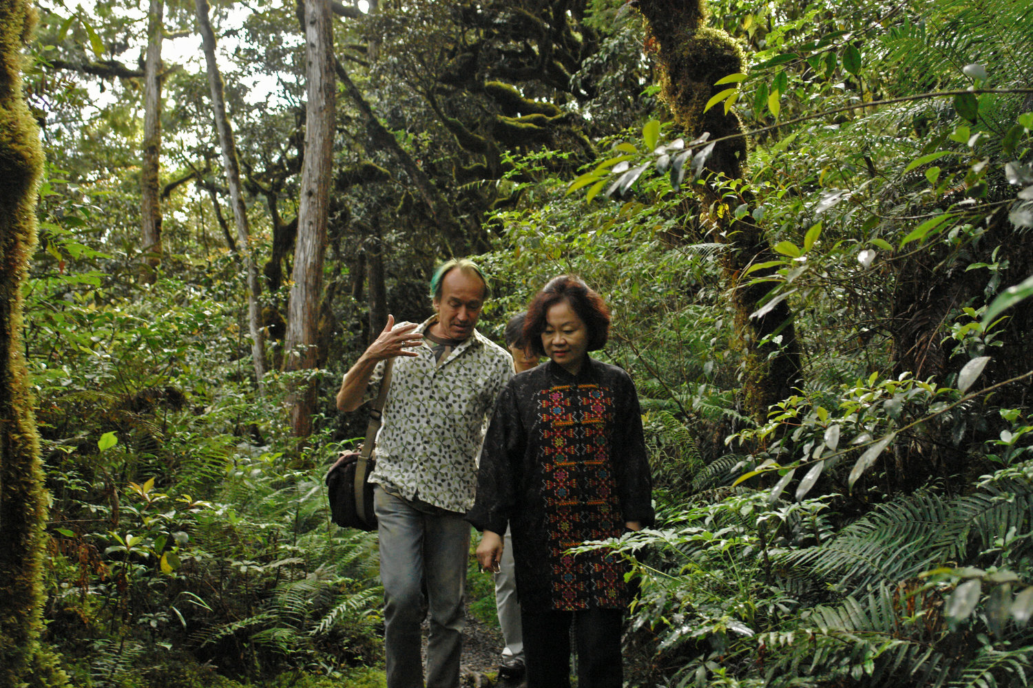 Patrick Blanc And Madame Tchen Speaking About Understorey Plants Cilan Patrick Blanc And Madame Tchen Speaking About Understorey Plants Cilan