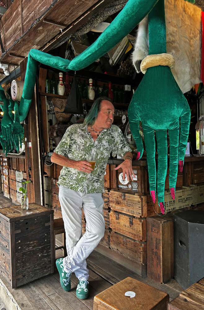 | Mur Vegetal Patrick Blanc