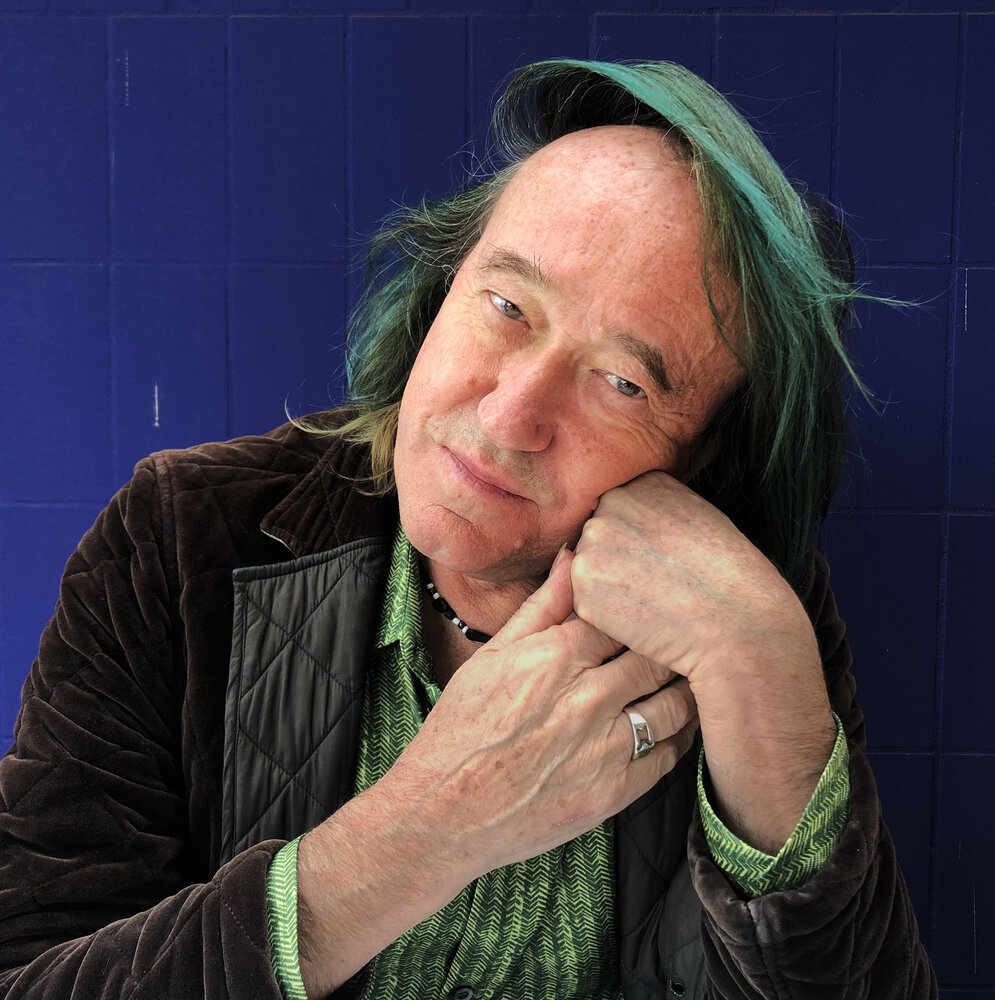 | Mur Vegetal Patrick Blanc